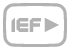 IEF Focus