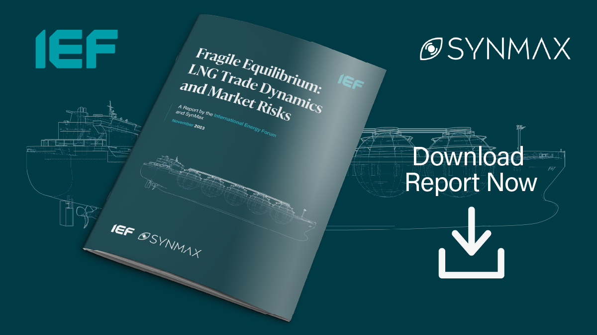 Fragile Equilibrium: LNG Trade Dynamics and Market Risks Report Download