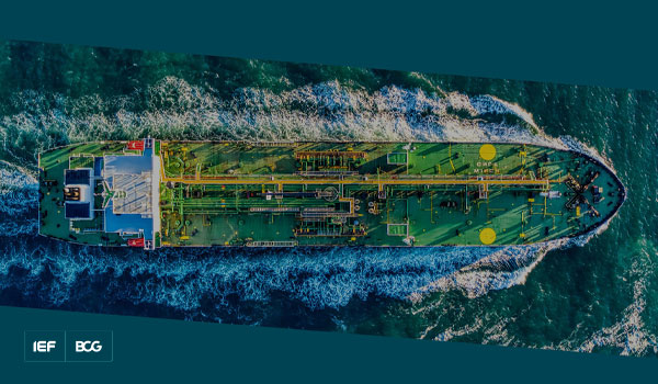 IEF BCG Report - Oil and Gas Investment in the New Risk Environment